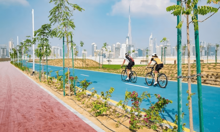 Building the Path for Cyclists: Cycle Track Construction Essentials ...